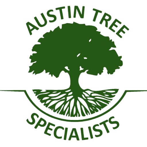Austin Tree Specialists - Login